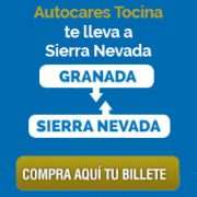 Autocares Tocina – Transportes, Autocares